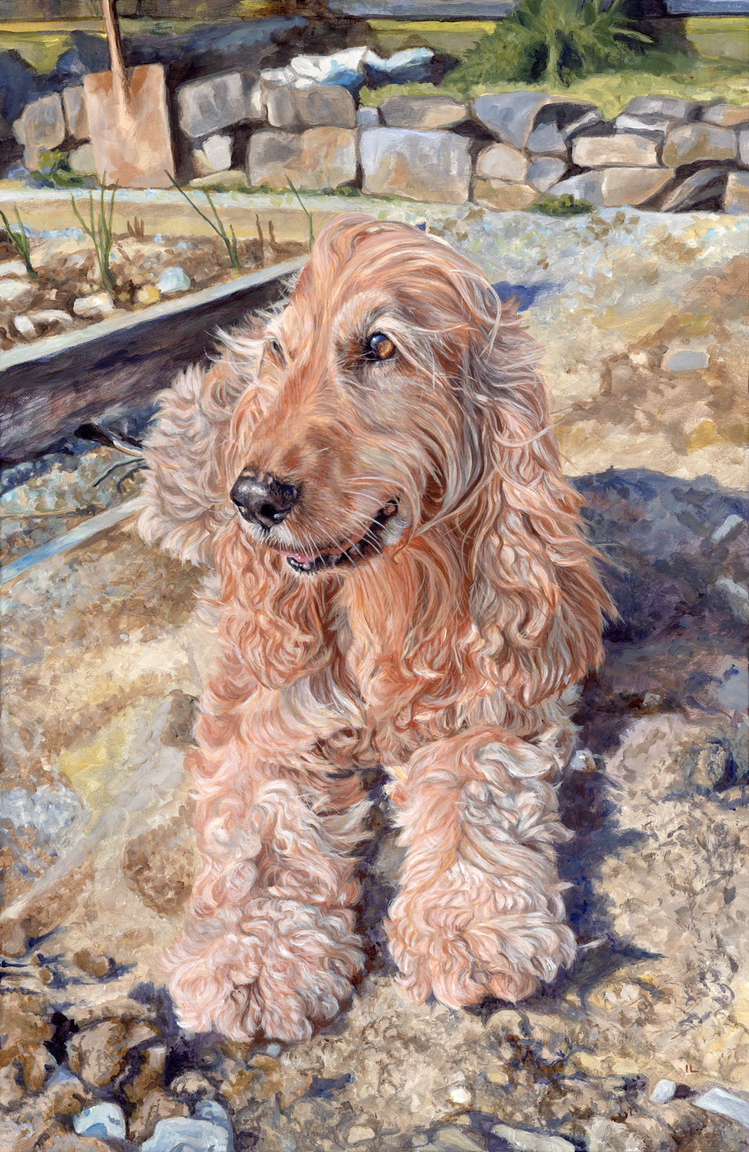 Simba the Cocker Spaniel in Two Portraits – TRUE IMAGE FINE ART